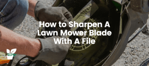 How to Sharpen A Lawn Mower Blade With A File - irrigation supplies