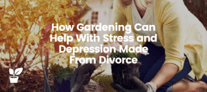 How Gardening Can Help With Stress and Depression Made From Divorce